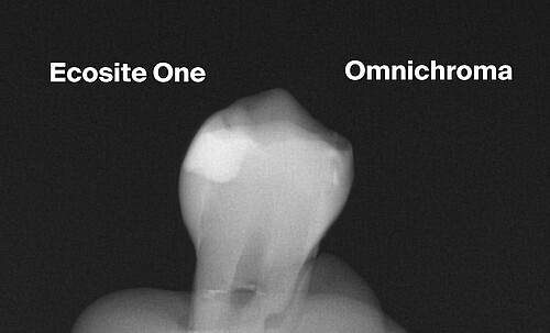 Ecosite One: The innovative layering composite by DMG.